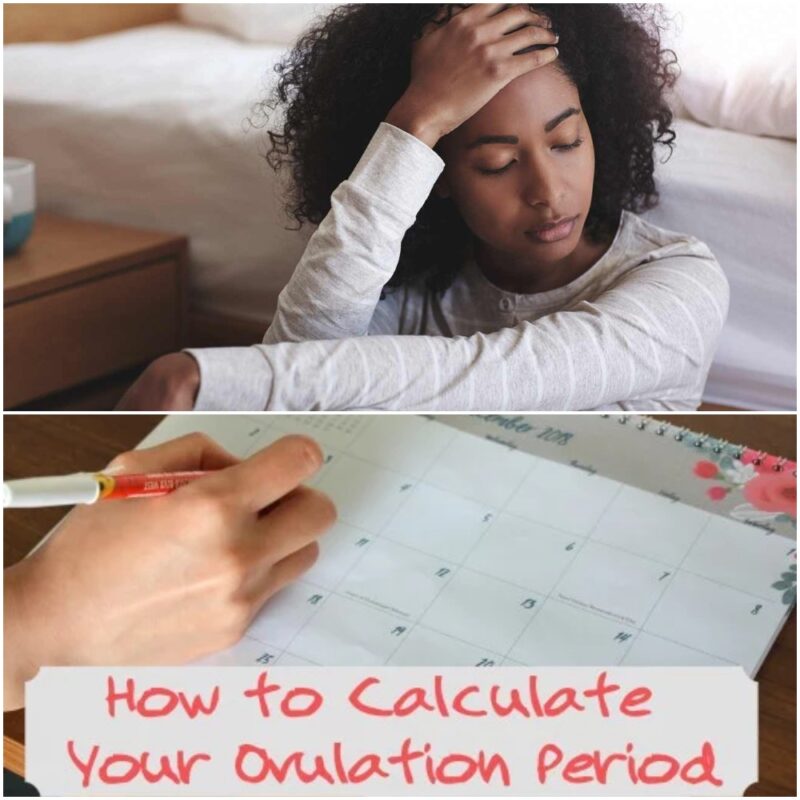 Calculate Ovulation Period Using Menstrual Cycle | FabWoman